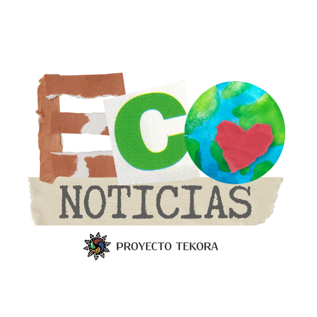 Proyecto Tekora