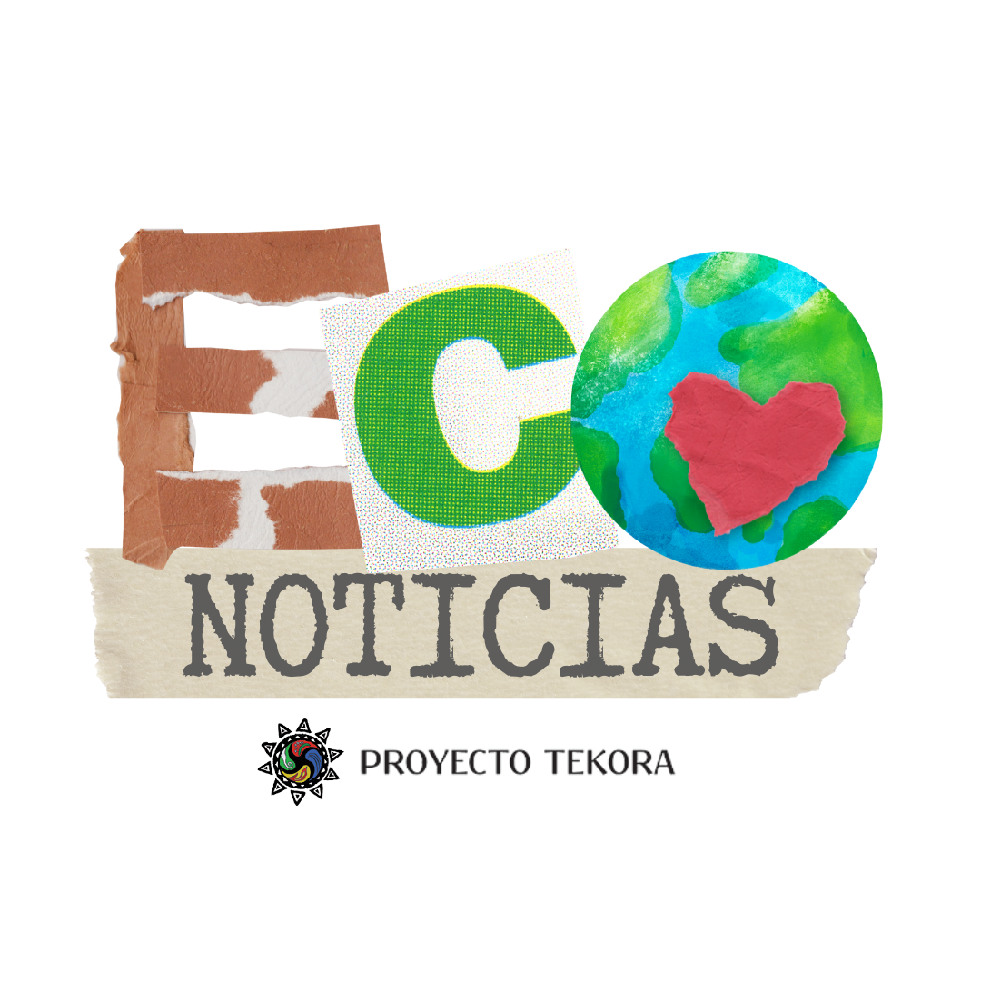Proyecto Tekora