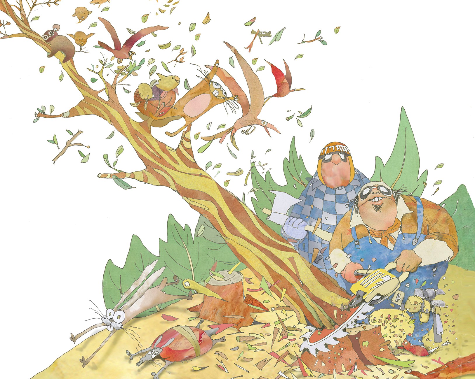 Cuentos – Proyecto Tekora